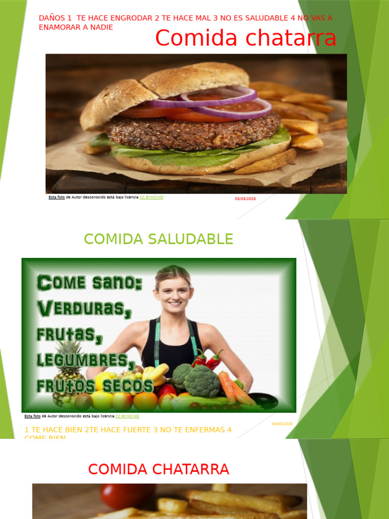 Comida Chatarra | PDF