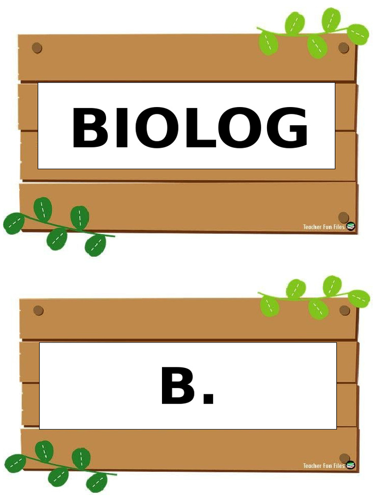 Label Sudut Mata Pelajaran Stem | PDF