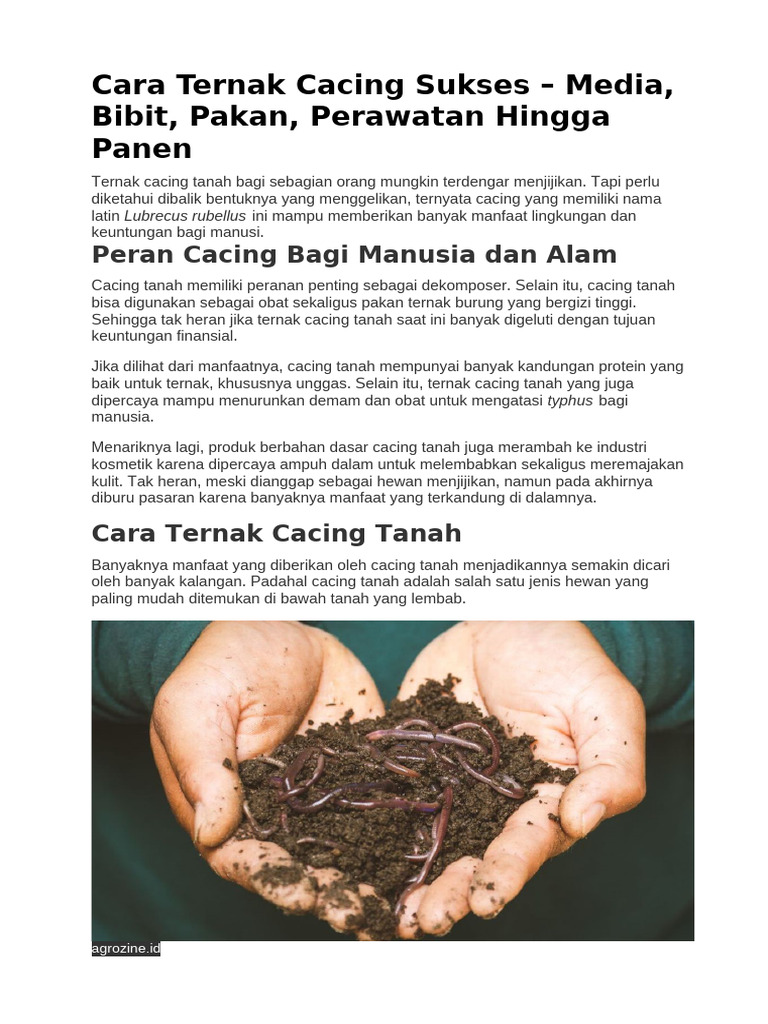 Cara Ternak Cacing Sukses | PDF