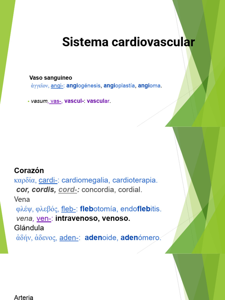 Estructura del aparato cardiovascular | PDF