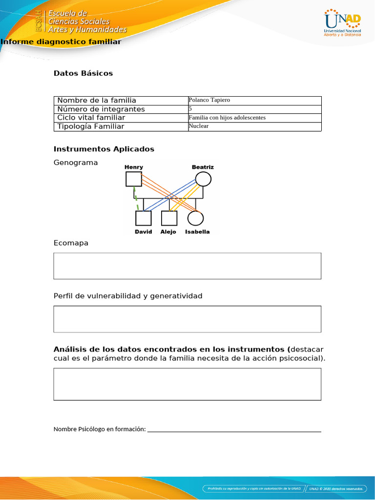 Formato Informe Diagnostico | PDF