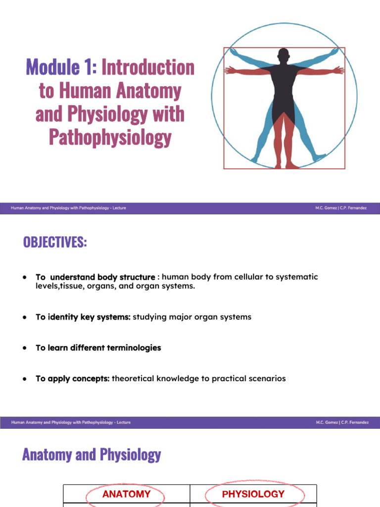 TOPIC-1-LEC | PDF | Human Body | Anatomy