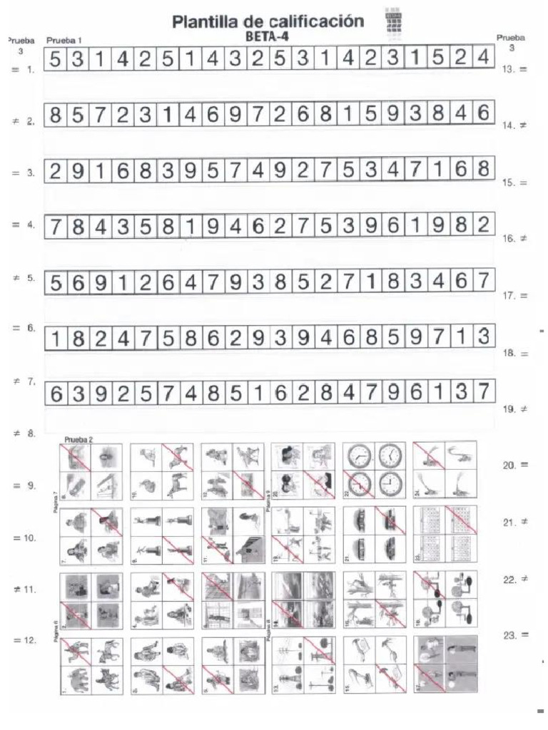 Formato Beta Iv-Plantilla de Calificación | PDF