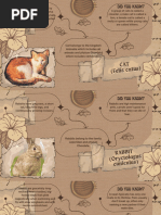 Rodent Skull Identification Guide | PDF | Tooth | Rodent