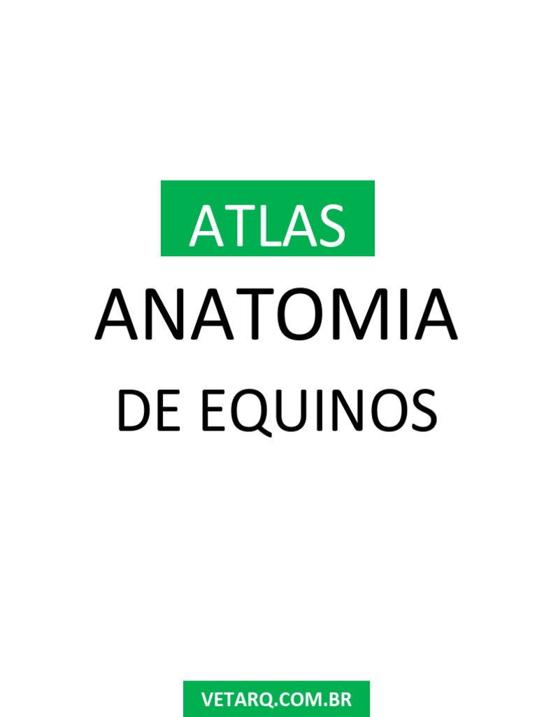 APOSTILA - ATLAS DE ANATOMIA DO EQUINO - Vetarq | PDF