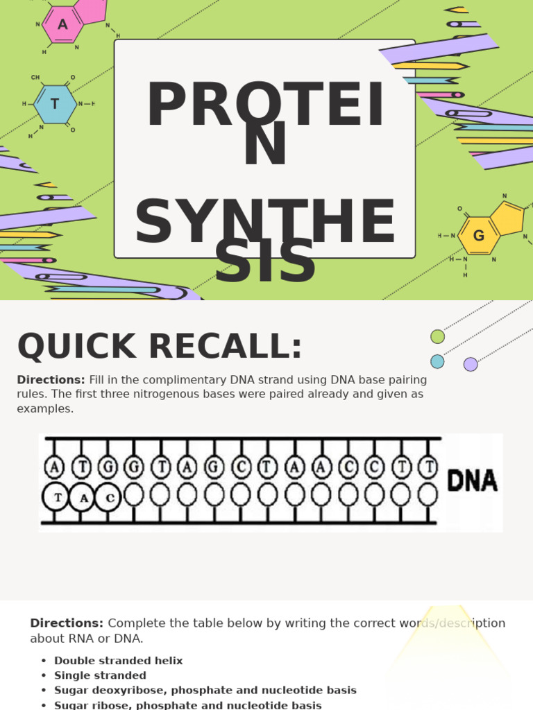 Protein Synthesis Lesson Guide | PDF | Translation (Biology ...