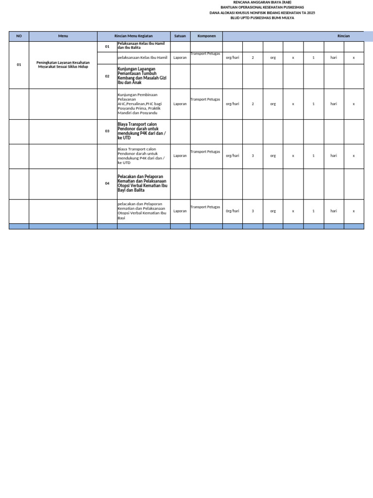 Rab Program Bumil | PDF