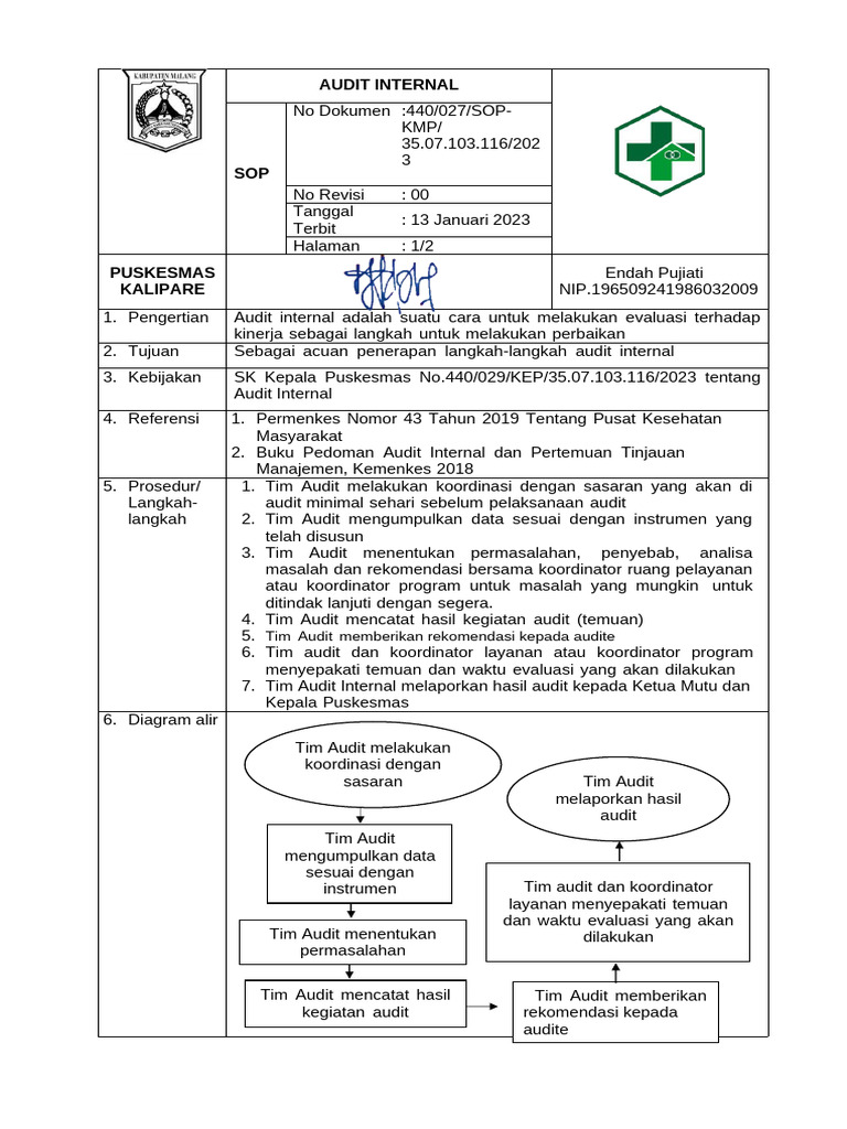 Prosedur Audit Internal Puskesmas Kalipare | PDF