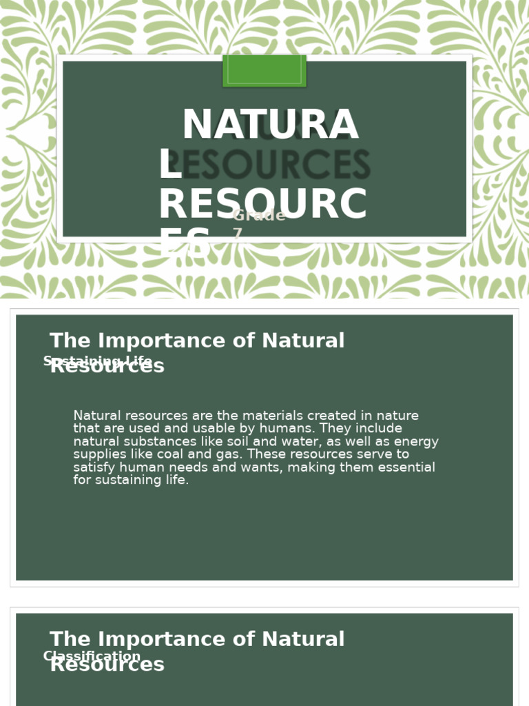 Importance of Natural Resources Explained | PDF | Renewable Energy | Fuels