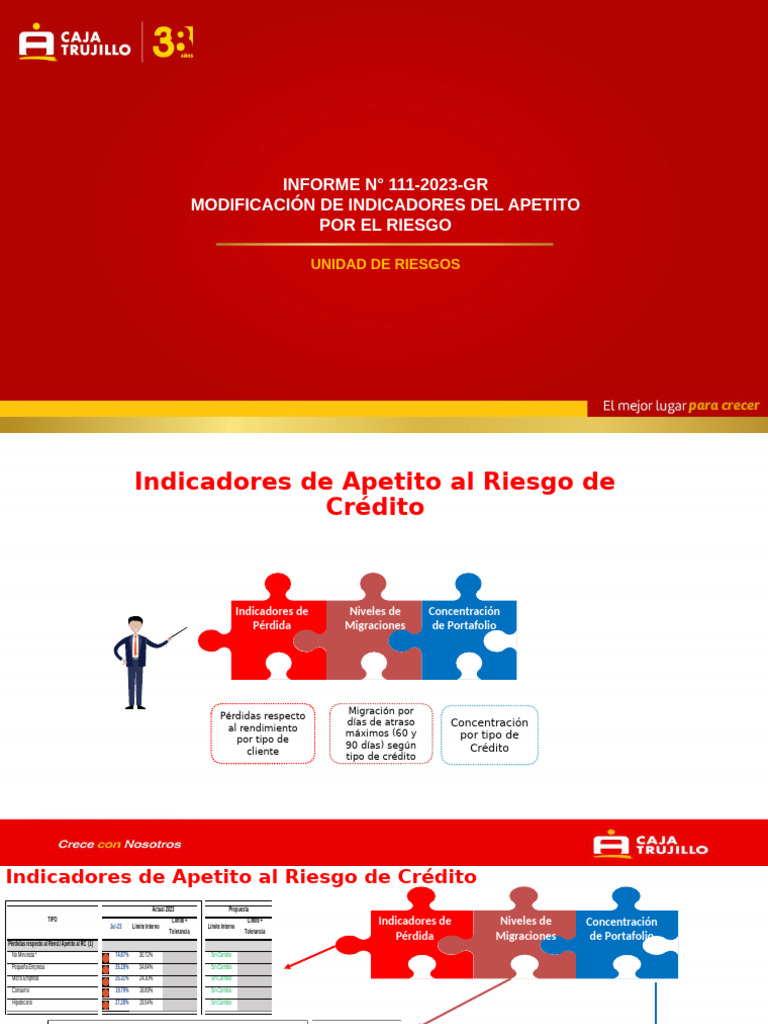 Modificación del Apetito por el Riesgo_2023 VR (1) | PDF | Business ...