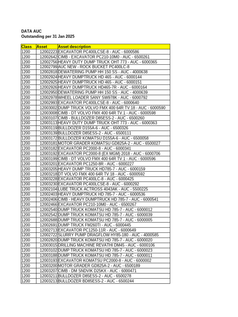 2025.01.31 Data Outs Auc | PDF