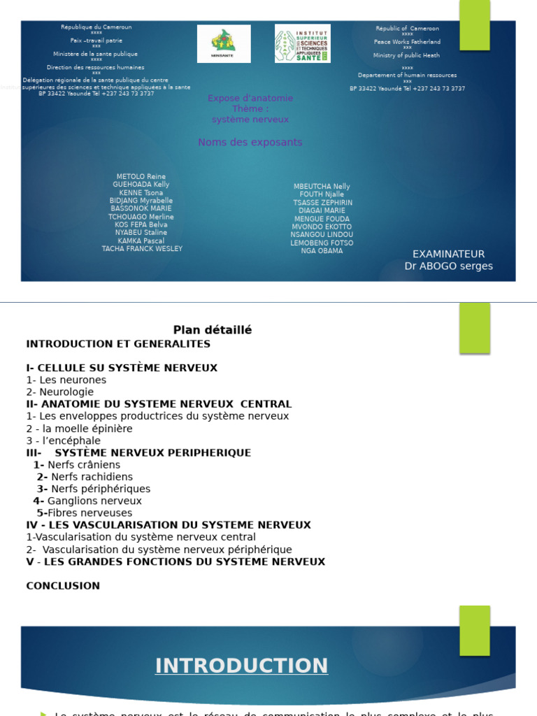 Expose Anatomie 062156 | PDF | Système nerveux | Synapse