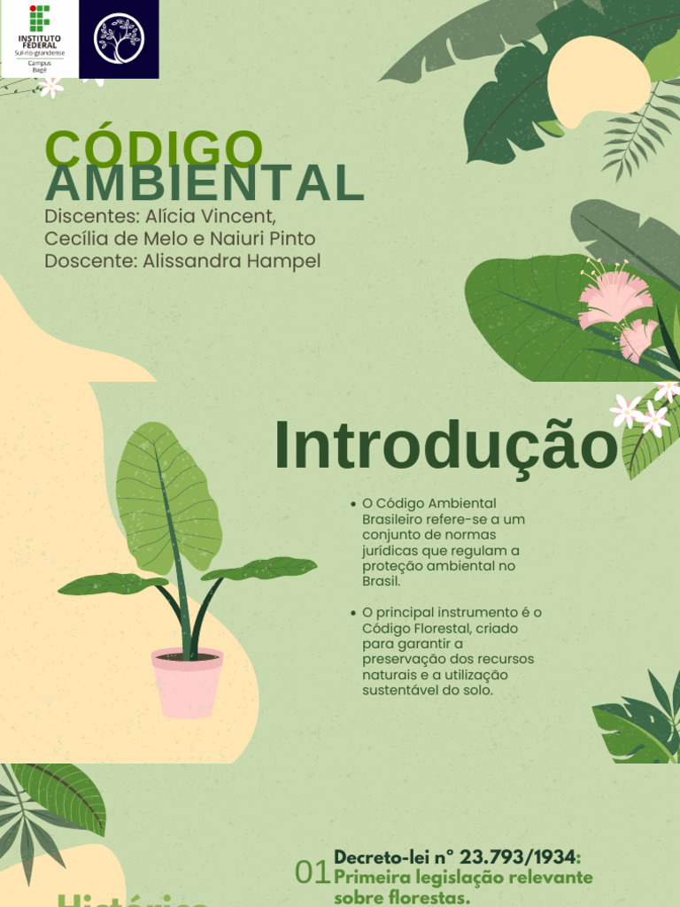 Trabalho Orientação Educacional - Alícia Cecília e Naiuri 3 | PDF ...