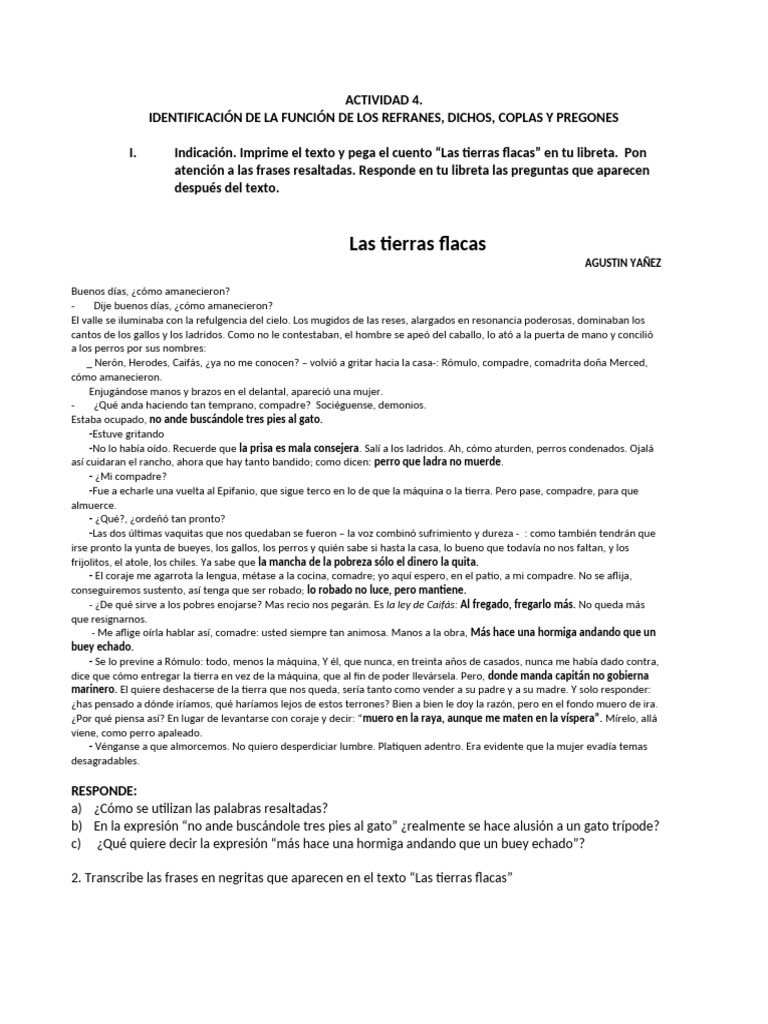 ACTIVIDAD 4 Las Tierras Flacas | PDF