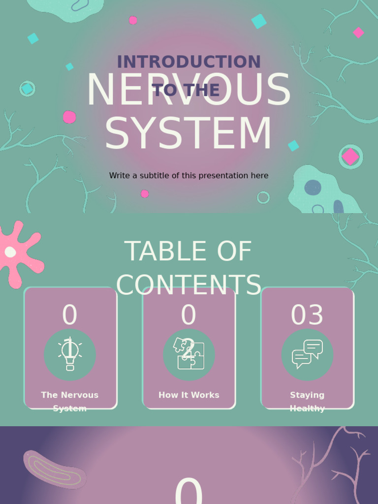 Illustrative Introduction To The Nervous System Slides | PDF | Central ...