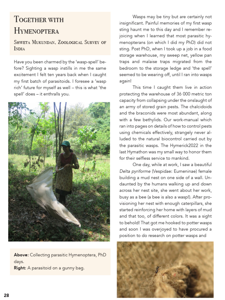 Hamuli Winter 2023 Layout-28-32 | PDF | Wasp | Bees