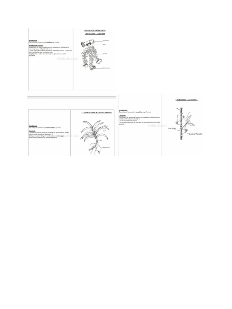 Botany Practical 2 | PDF