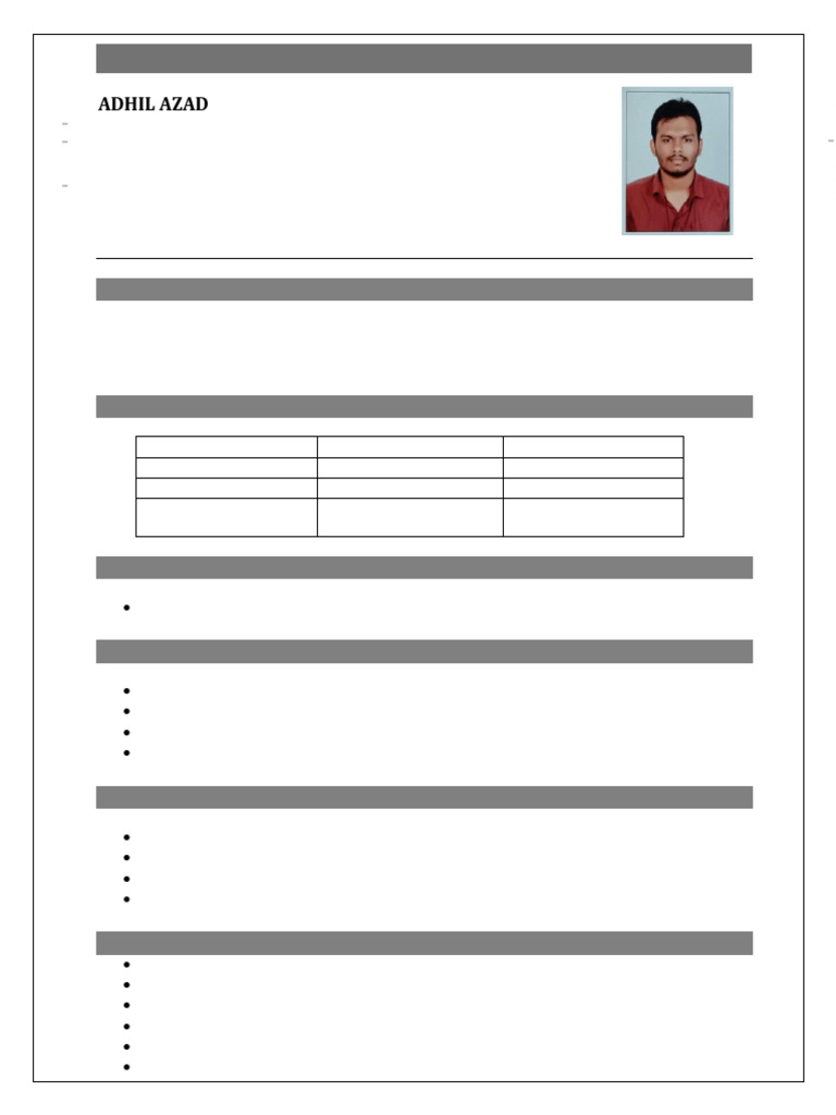 Adhil Azad's Professional CV | PDF