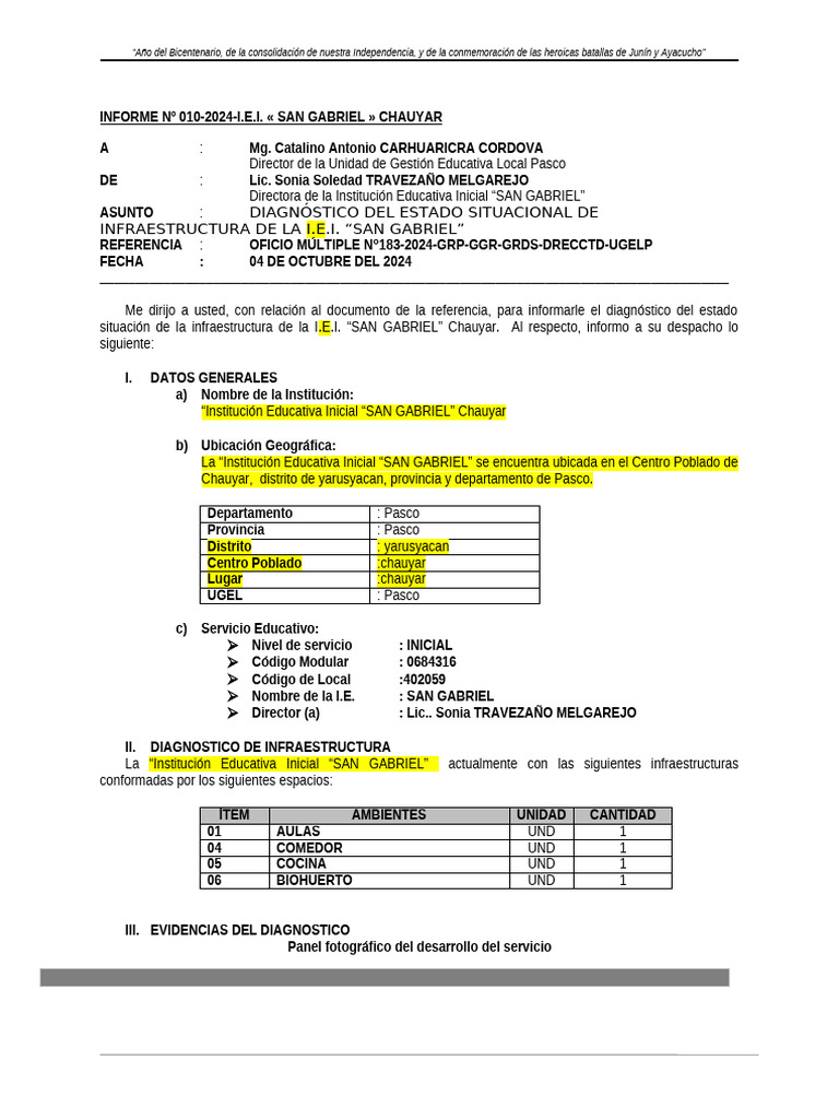 Modelo de Informe - Estado Situacional | PDF