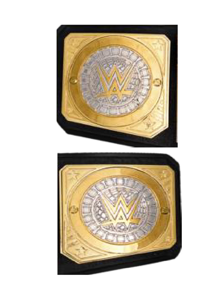 Us Side Plate Wwe | PDF