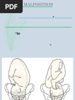 Malpresentation and Malposition | PDF | Pelvis | Anatomical Terms Of Motion