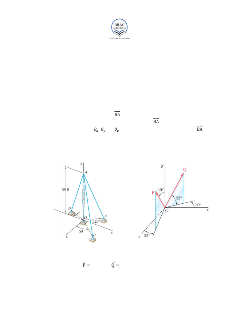 PHY 111 Assignment 1: Forces & Vectors | PDF