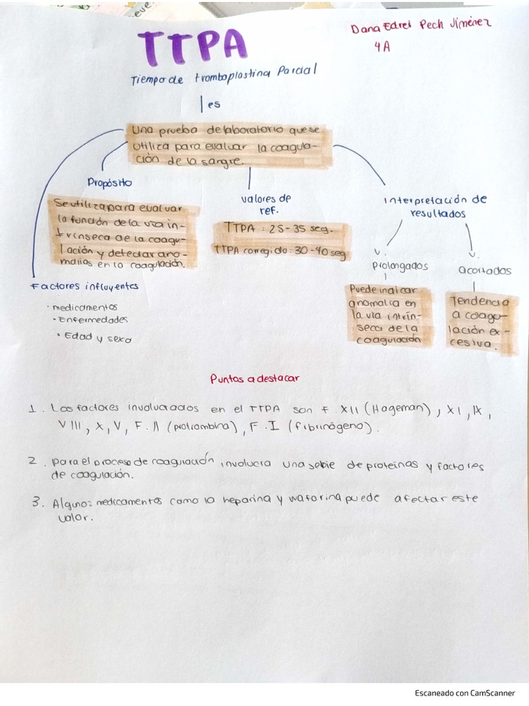 Dana Edrei Pech Jimenez TTPA y TT | PDF