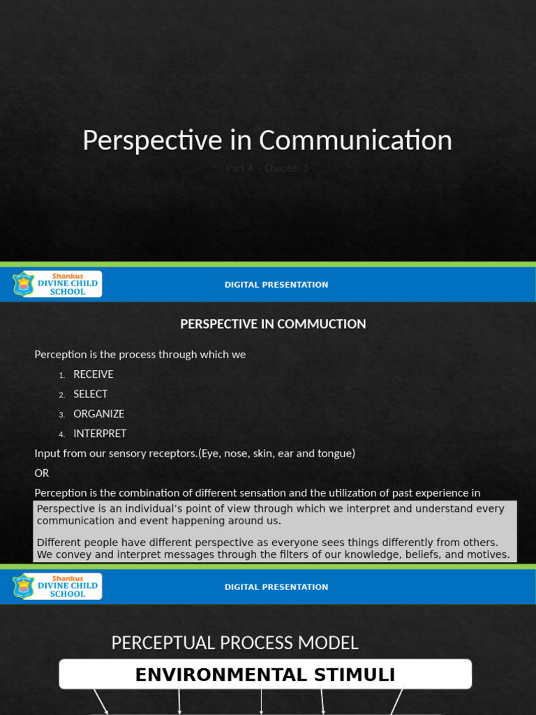 Perspective in Communication | PDF | Perception | Experience