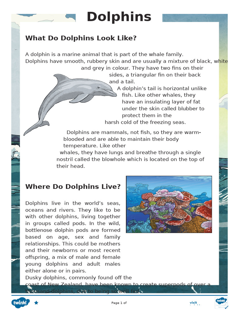 t2 e 5257 Dolphins Differentiated Reading Comprehension Activity 7 9 ...