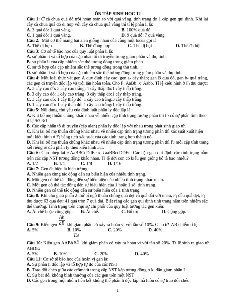 Bai On Tap Cuoi Ki 1 12A2 12V | PDF