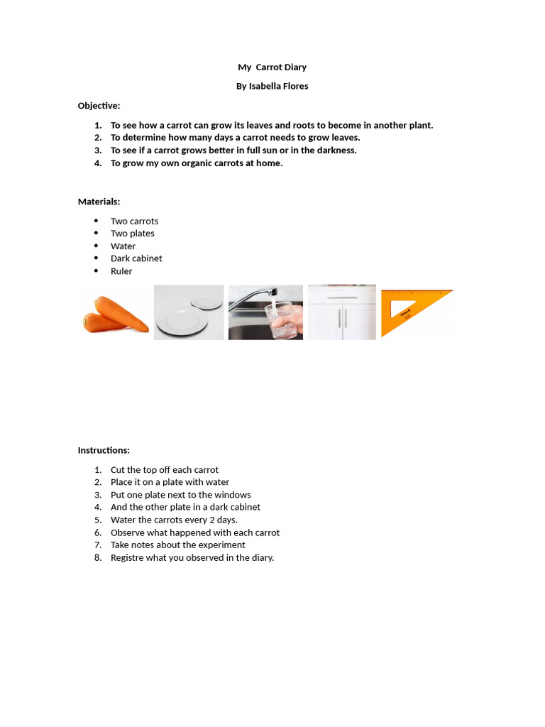 Carrot Growth Experiment Diary | PDF
