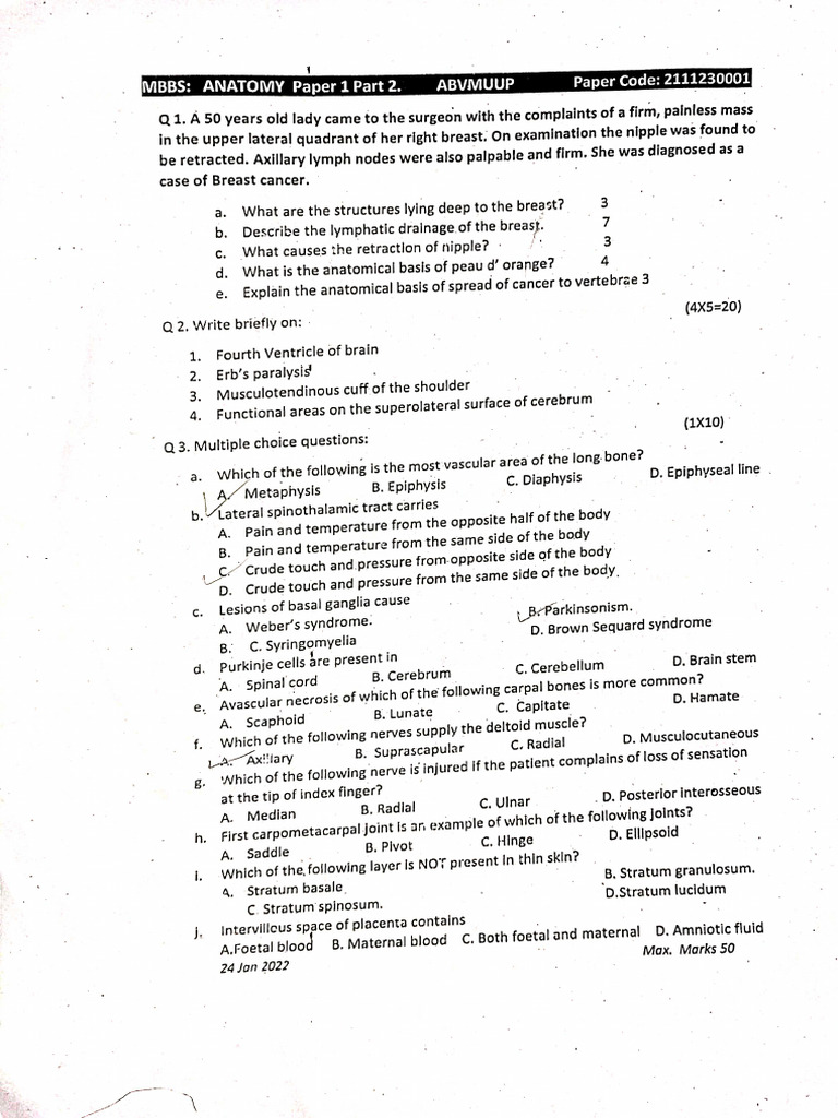 ANATOMY ABVMU Paper | PDF