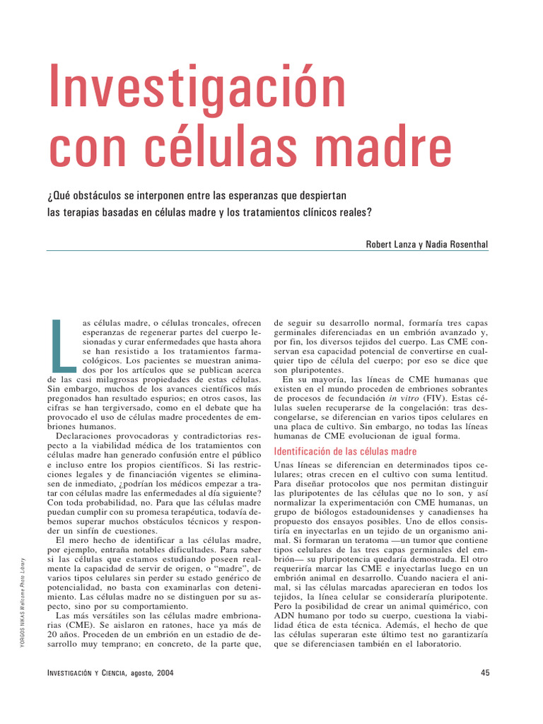 Investigación Con Células Madre | PDF | Célula madre | Potencia celular