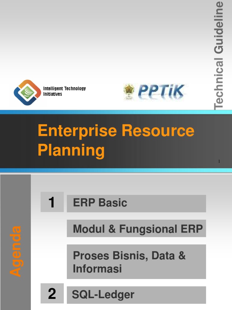 ERP Basic | PDF