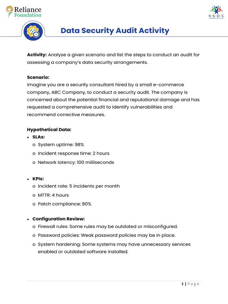 Data_Security_Audit_Activity | PDF
