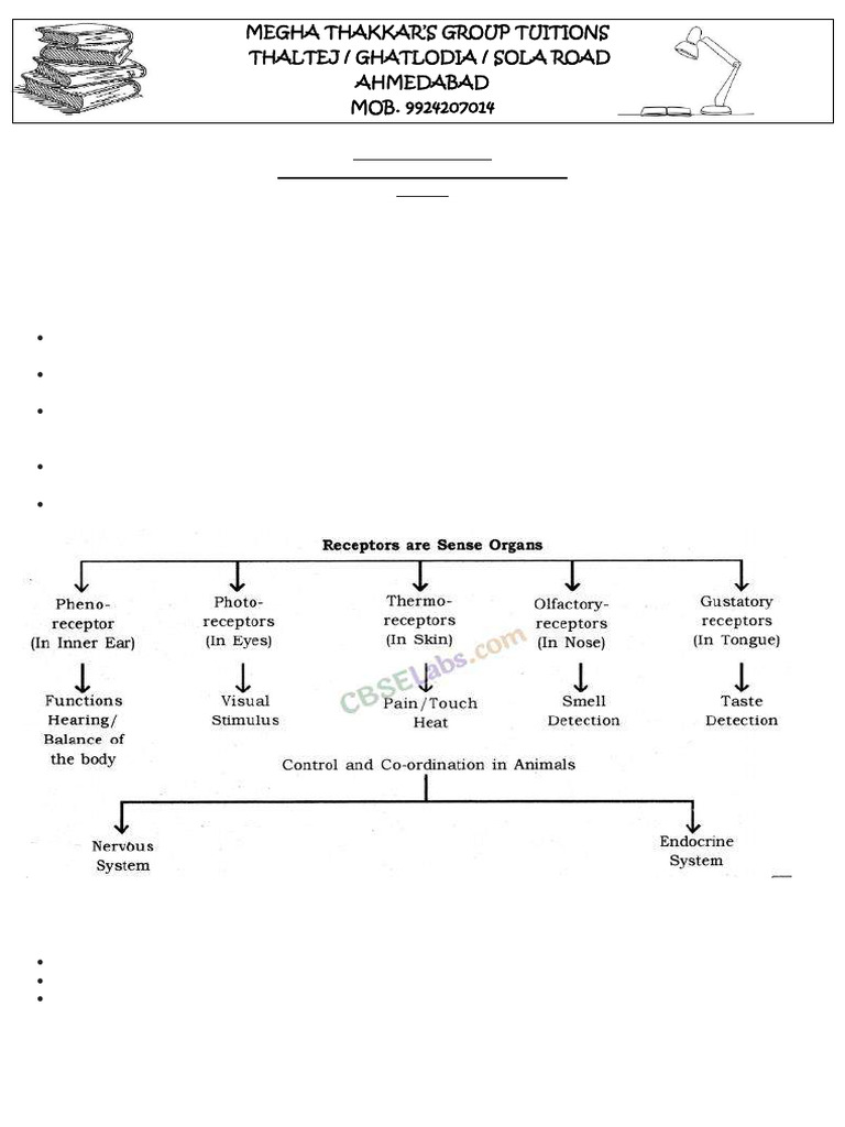 CLASS-10-SCIENCE-CHAPTER-7-CONTROL AND COORDINATION-compressed | PDF | Neuron | Axon