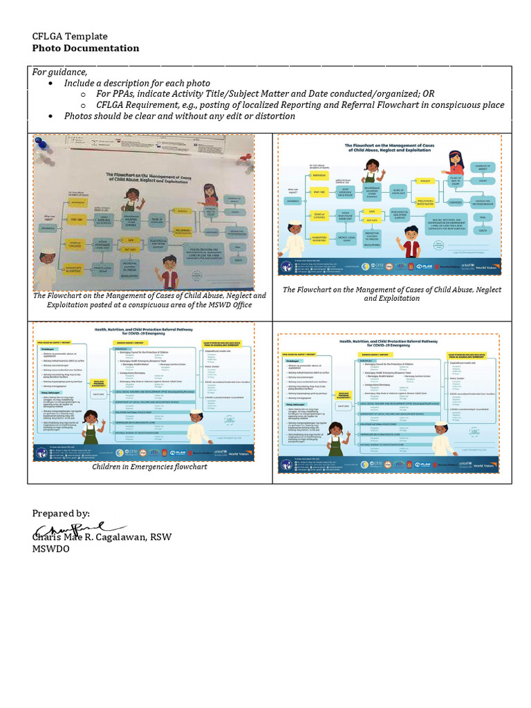 Flowchart For CNSP Cases | PDF
