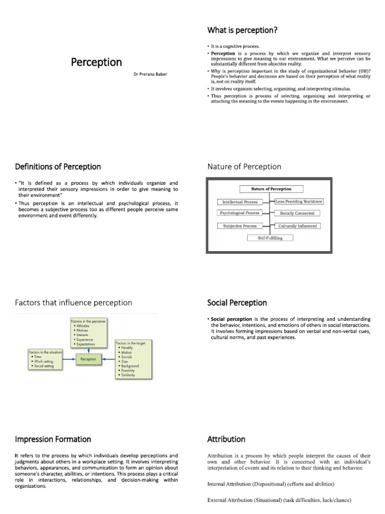 Perception Ob | PDF