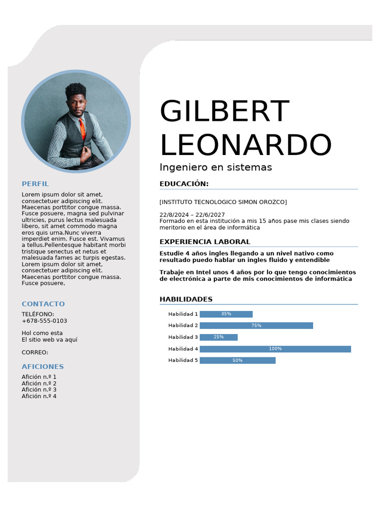 Perfil Profesional de Ingeniero en Sistemas | PDF