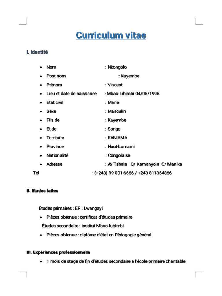 Curriculum Vitae Phoenix | PDF