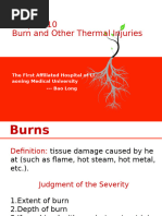 Burn Depth Classification and Staging | PDF