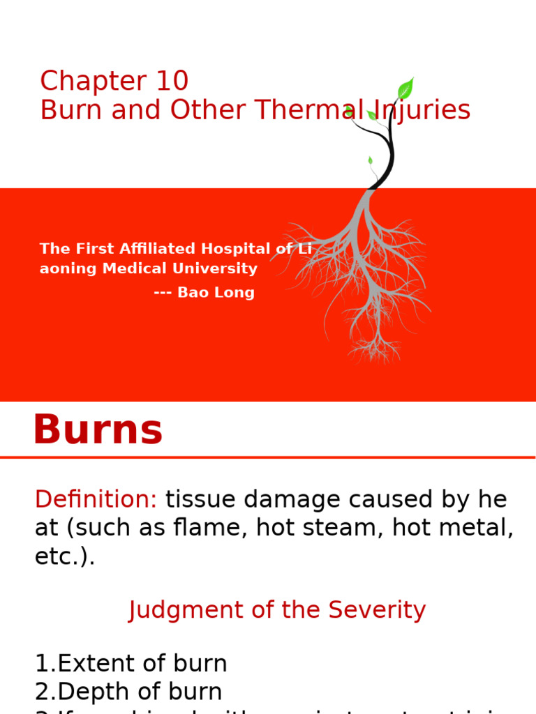 Chapter10 Burn and Other Thermal Injurys | PDF | Burn | Skin