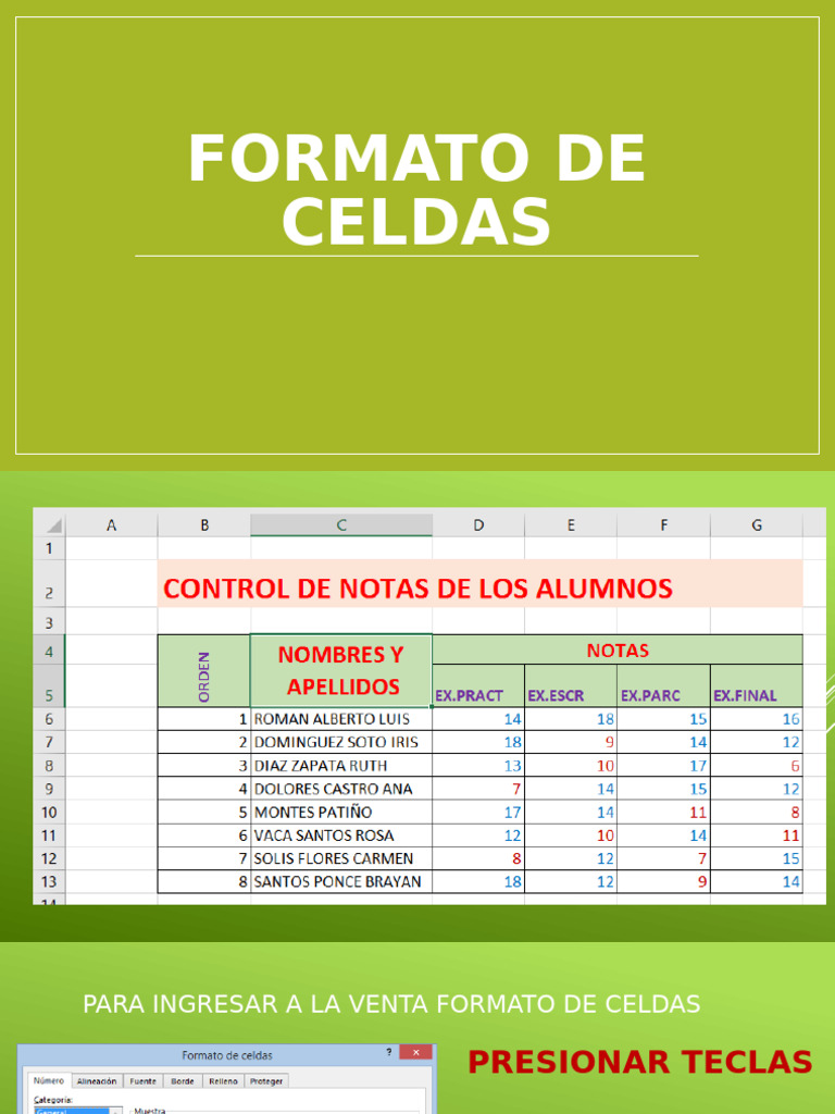 2.Formato de Celdas | PDF