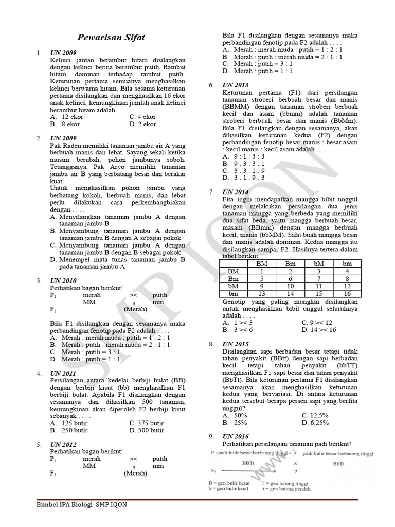 Soal UN Pewarisan Sifat.docx | PDF