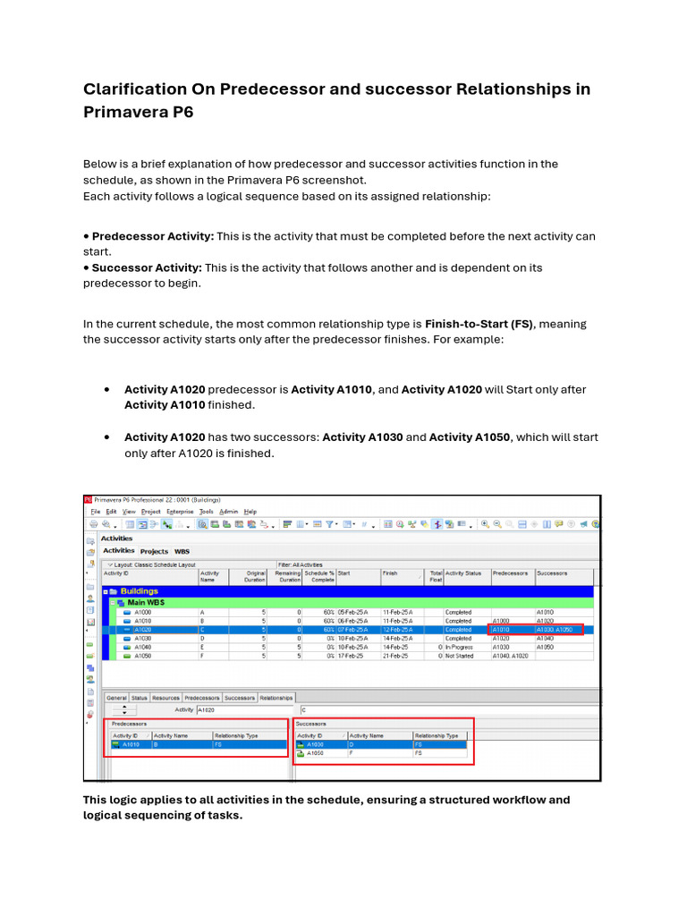 Clarification on Predecessor and Successor Relationships in Primavera ...
