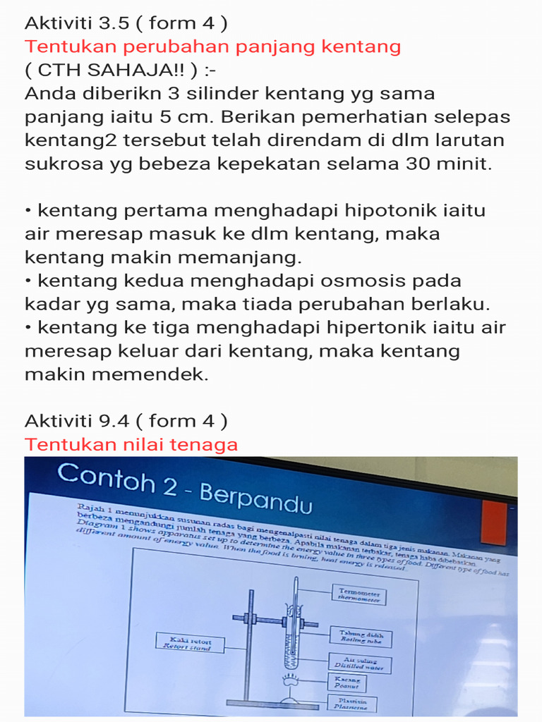 Nota Amali Bio | PDF