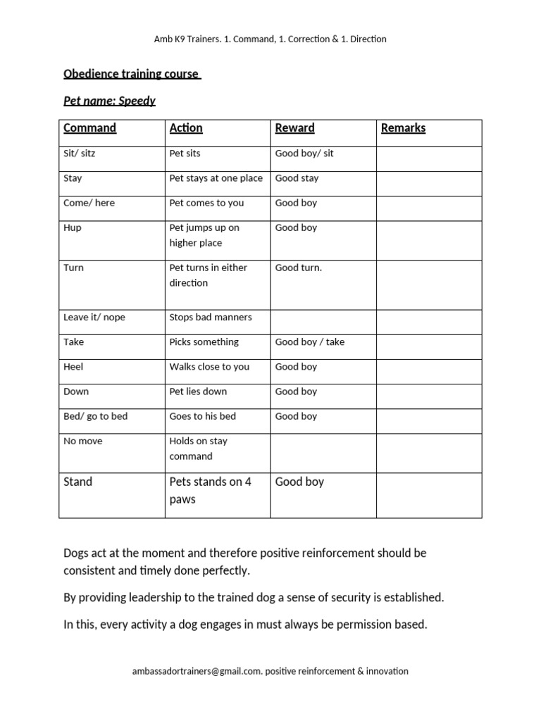 Speedy Commands | PDF