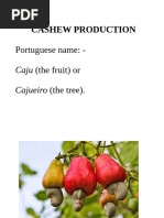 NJUG Publication Volume 1 | PDF | Root | Trees