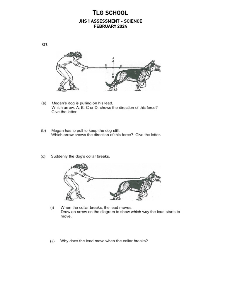 Forces and Motion Assessment Questions | PDF | Force | Kinetic Energy