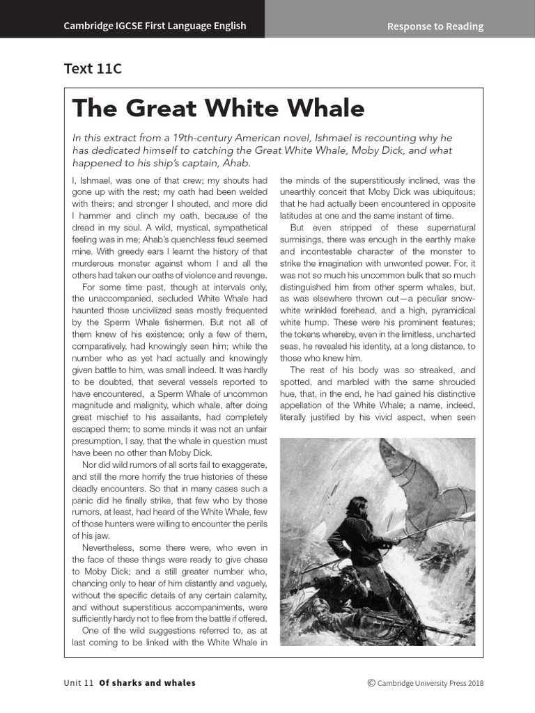 Text 11C IGCSE FLE | PDF | Moby Dick | Captain Ahab